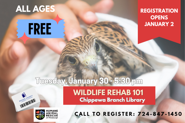 Beaver County PA Library - Beaver County Library System